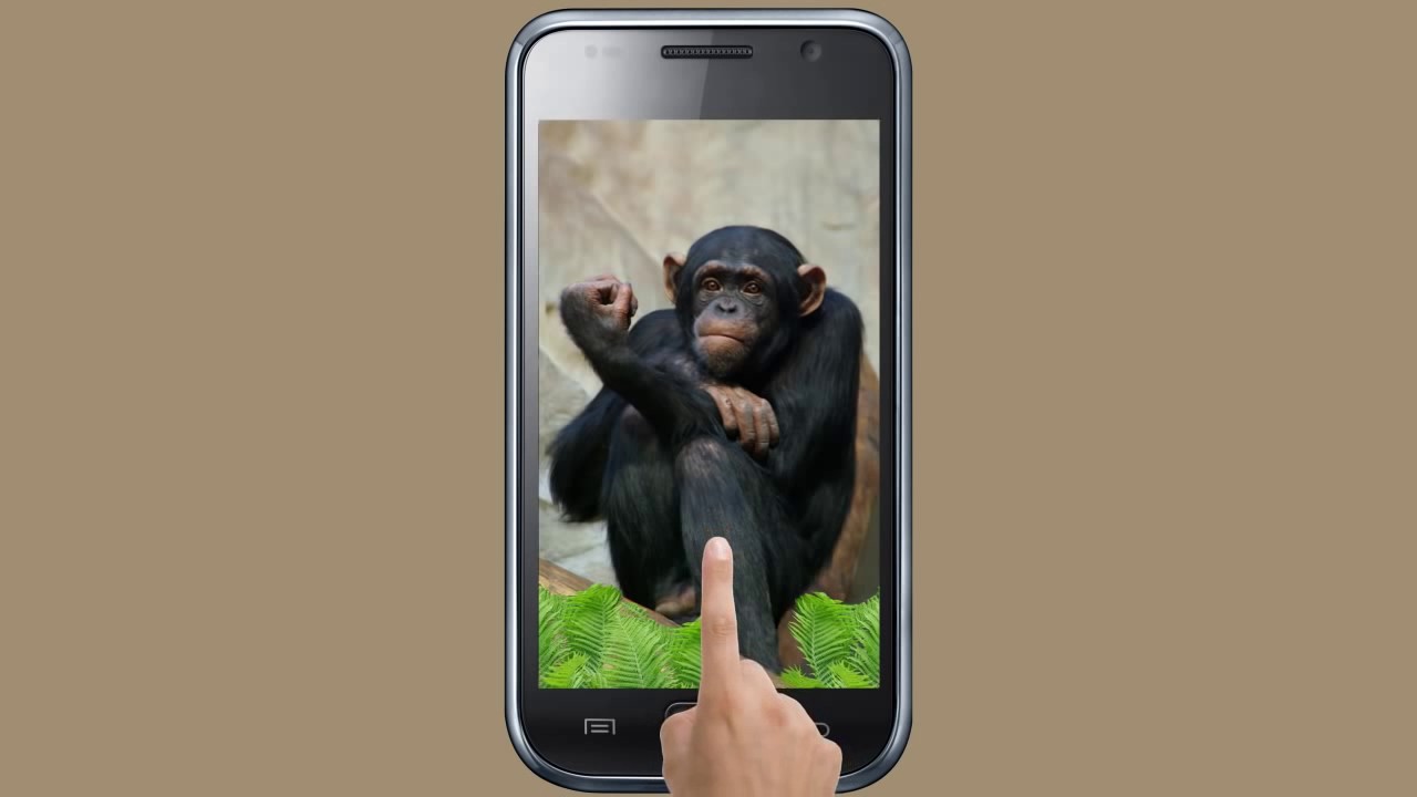 funny monkey live wallpaper Fun Super