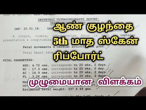 5th month Anamoly scan report for boy in tamil/Detailed explanation in tamil #boybaby #5thmonth