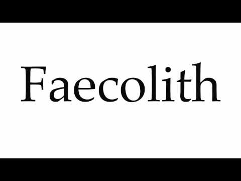 How to Pronounce Faecolith