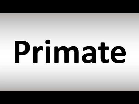 How to Pronounce Primate