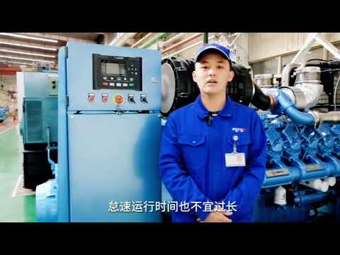 Weichai Power Generator Set- instructions