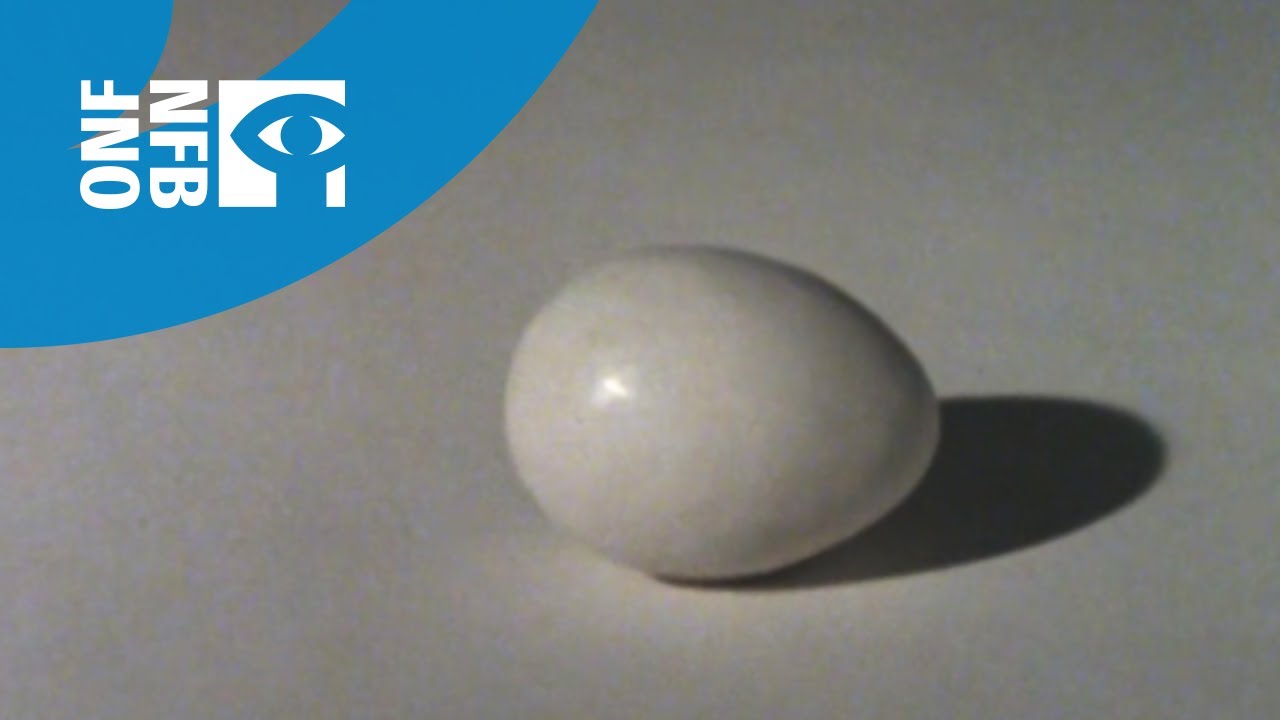 Canada Vignettes: The Egg