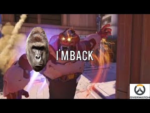 Steam Community :: Video :: Harambe is back ll Overwatch Winston gameplay