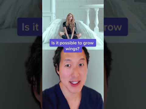 Would You Like Human Wings?