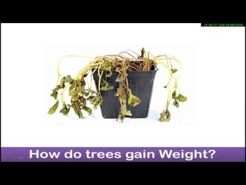 Science: What do Plant Eat (Food Chain) in Urdu Class-1 to Class-5