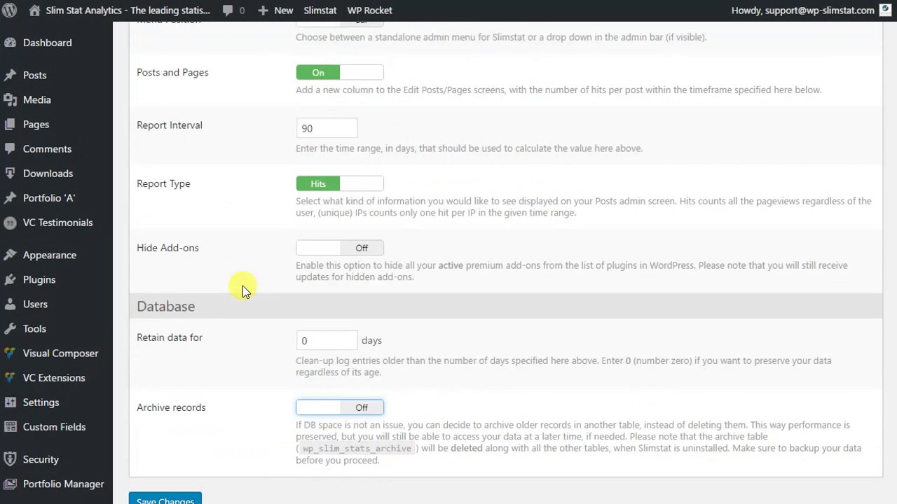 Slimstat Analytics: Settings and Customizer