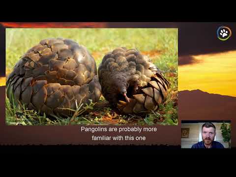 WCN Virtual Fall Expo 2020: Pangolin Crisis Fund