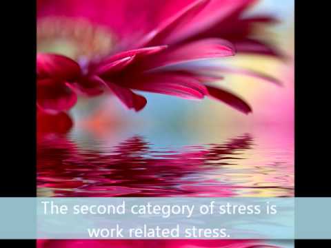 Identifying the Four Categories of Stress and What to Do