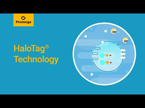 HaloTag® Interchangeable Labelling Technology