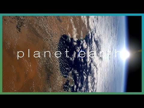 The best scenes from Planet Earth