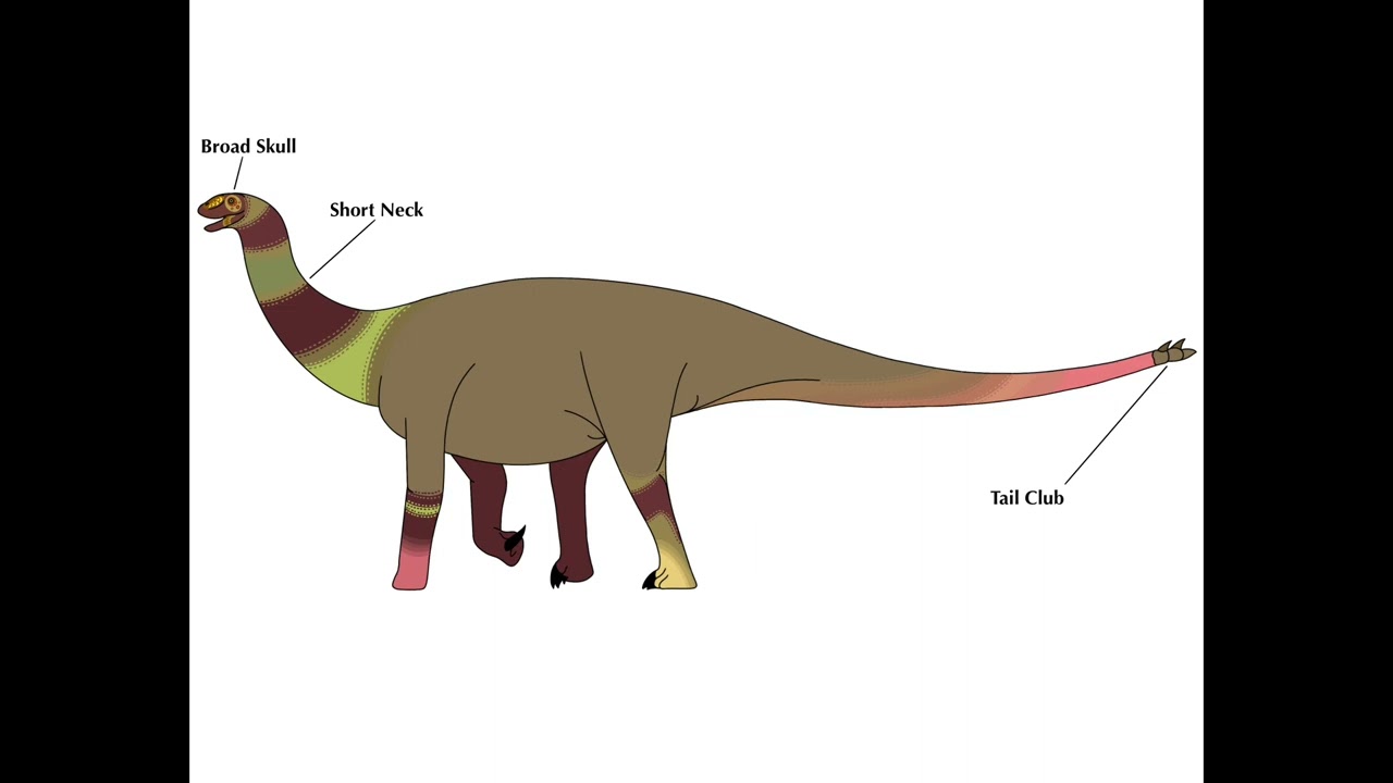 (Old) Shunosaurus Lii
