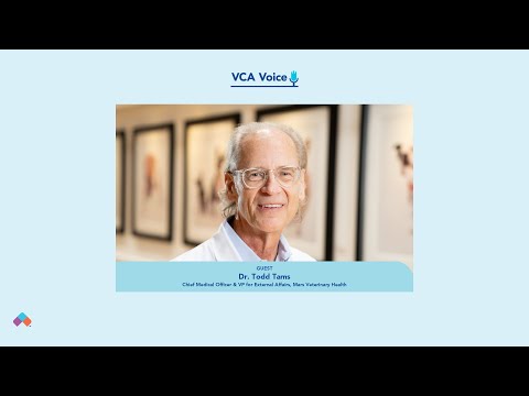 An Inspiring Journey in Veterinary Medicine: Dr. Todd Tams