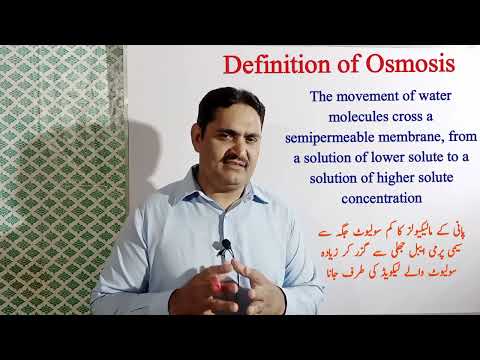 Define Osmosis | What is Osmosis | Definition of Osmosis | Meaning of Osmosis