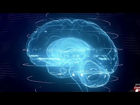 Connection between traumatic brain injuries and military suicides is main topic at mental health...