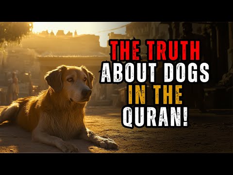 The Shocking Truth About Dogs in Islam – You’ve Never Heard This Before!