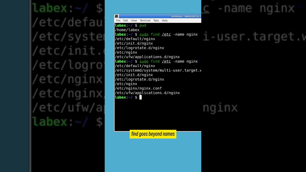 Practice Linux Commands 15 - find #commandline #linuxcommands #linux #learnlinux