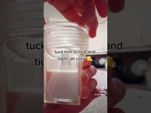 Square egg making using vintage egg mold.