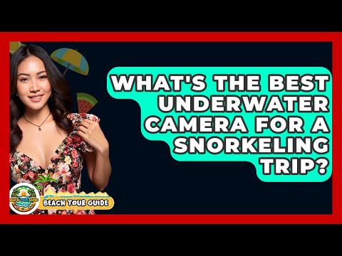 What's The Best Underwater Camera For A Snorkeling Trip? - Beach Tour Guide