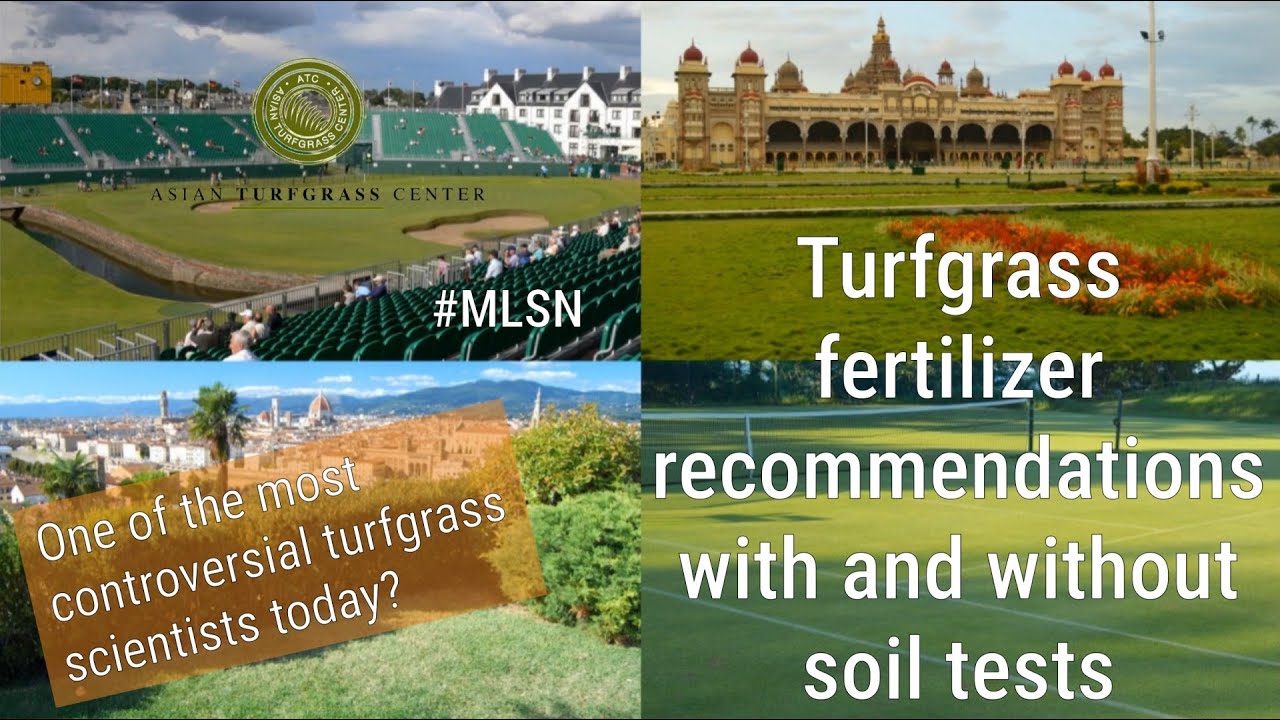 Turfgrass fertiliser recommendations with or without soil tests