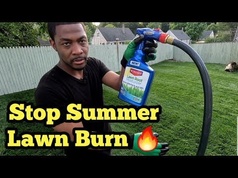 How To Use Bioadvanced Lawn Root Moisturizer To Help Keep Lawn Green