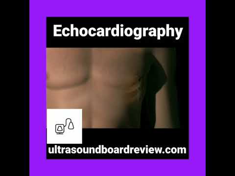 Ultrasound Board Review on Echocardiography Apical 4-Chamber View