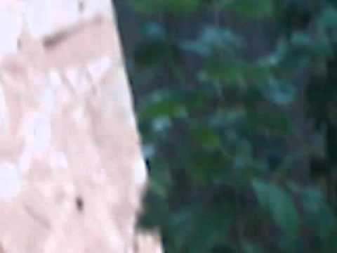 BUDK Genuine Gurkha Kukri Test