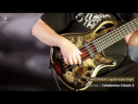 Mayones Caledonius 5 string Bass 2024 - stunning boutique | Reverb