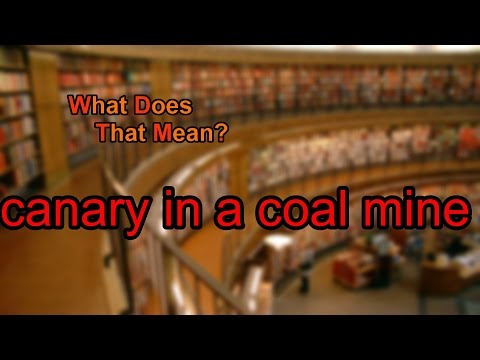 What does canary in a coal mine mean?