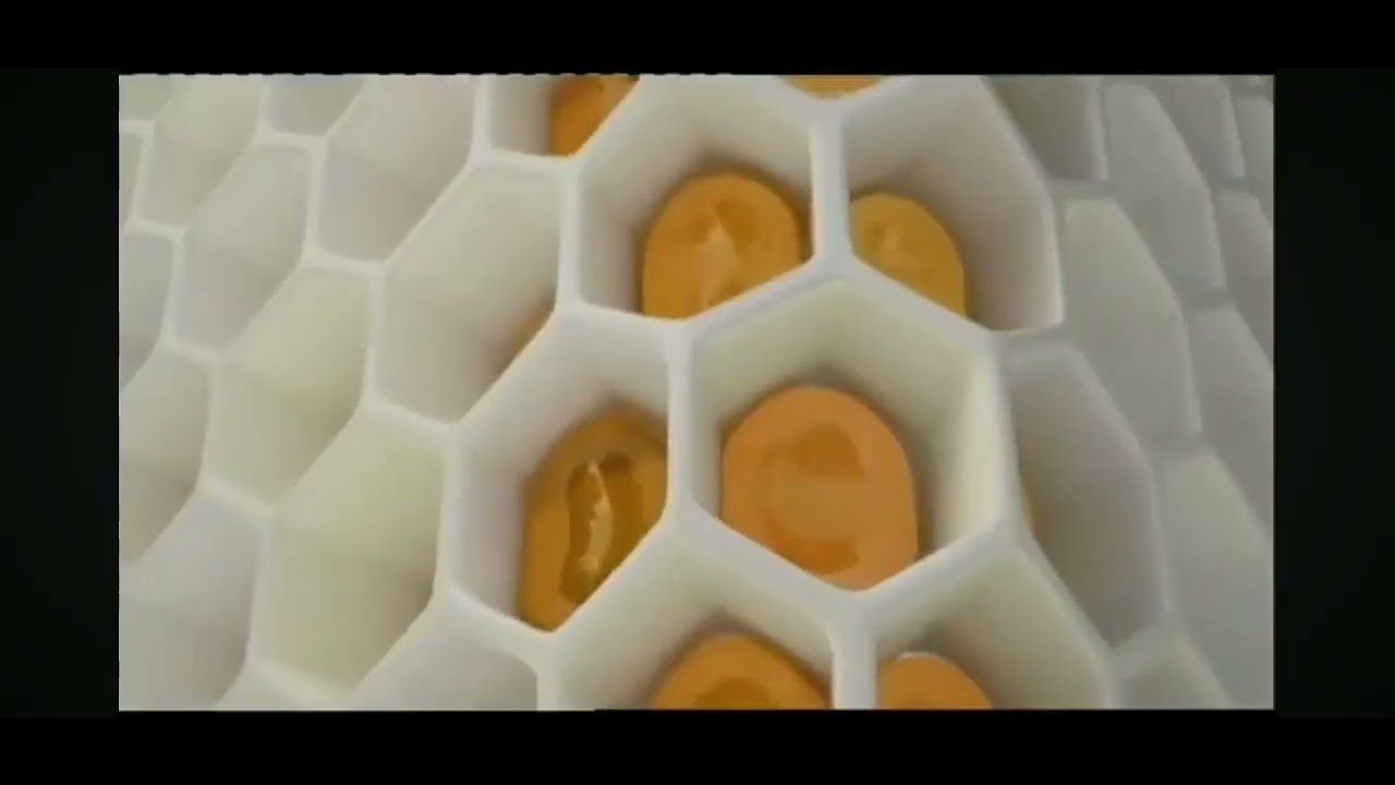 LRT Kultura - ident 2012-2016 (4)