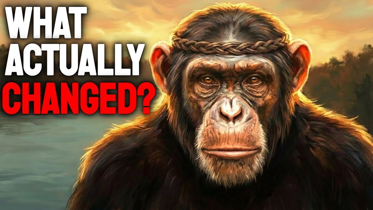 Why Did Human Evolution Suddenly ACCELERATE 100,000 Years Ago? | History For Sleep