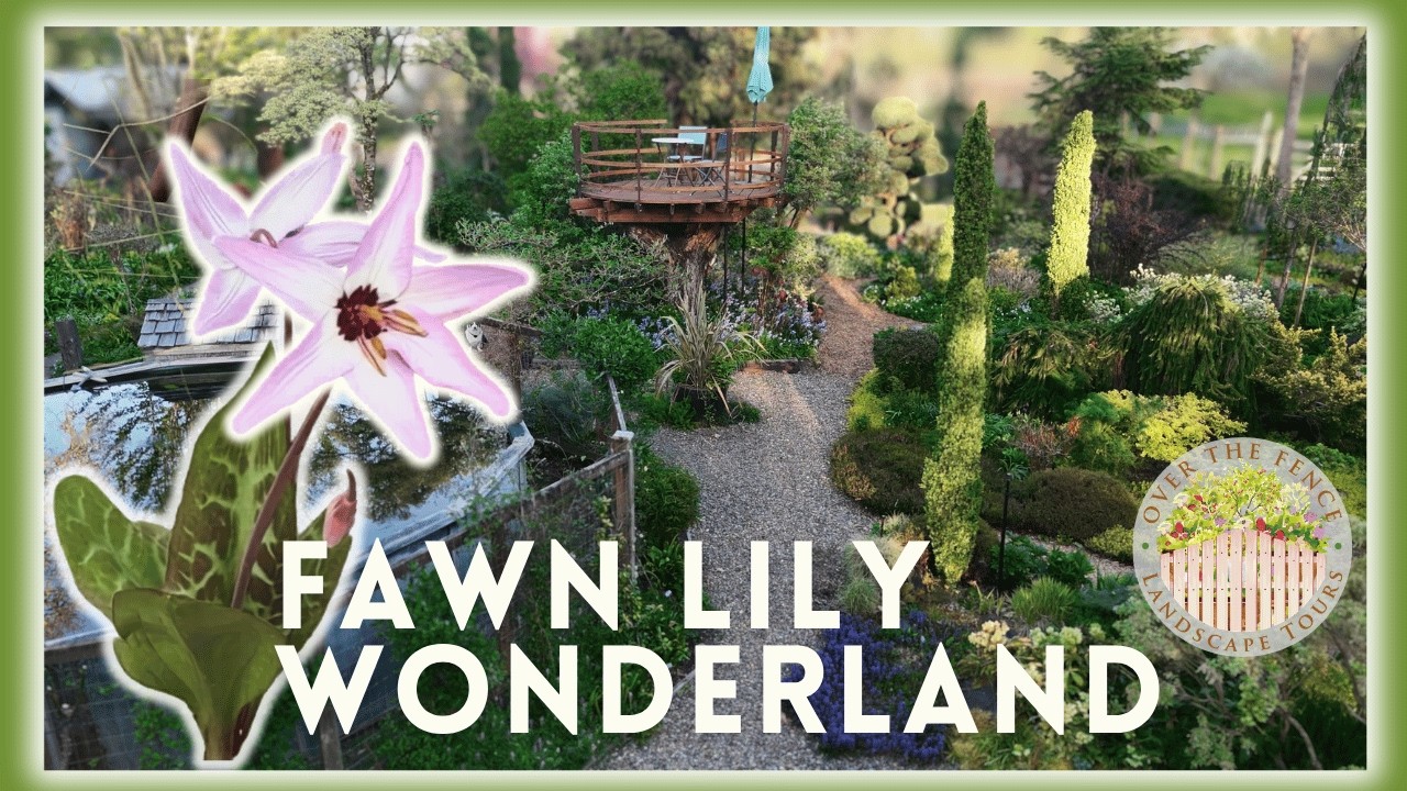 Erythronium Obsession | Exploring the Pacific Northwest’s Most Magical Spring Ephemeral