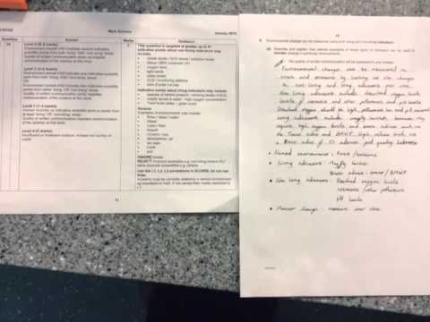 GCSE B3 science