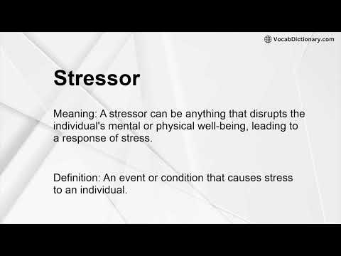 Stressor Meaning