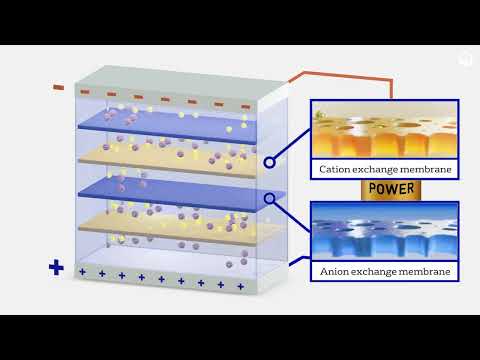 How EDR Systems Work