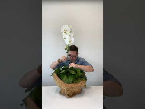 Faux Orchid Arrangement custom built in teak bowl