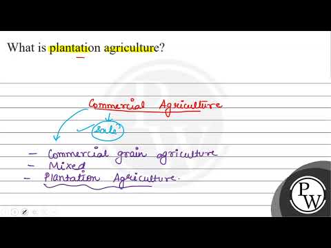 What is plantation agriculture?