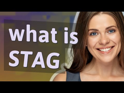 Stag | meaning of Stag