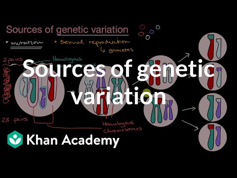 Sources of genetic variation | Inheritance and variation | High school biology | Khan Academy