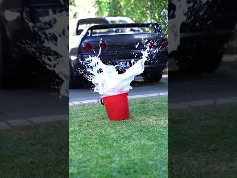 Why You Need Turtle Wax