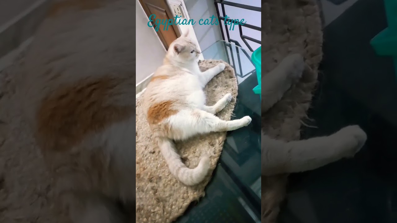 Aww beautiful princess 👸 mashe