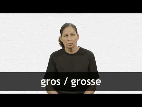 How to pronounce GROS / GROSSE in French