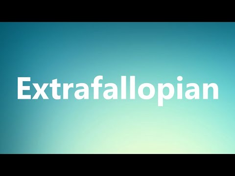 Extrafallopian - Medical Definition and Pronunciation