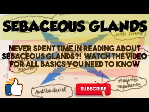 SEBACEOUS GLANDS - STRUCTURE AND FUNCTION