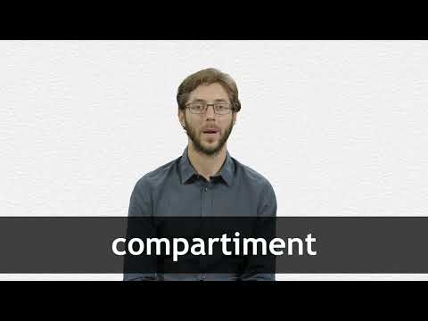 English Translation of “COMPARTIMENT” | Collins French-English Dictionary