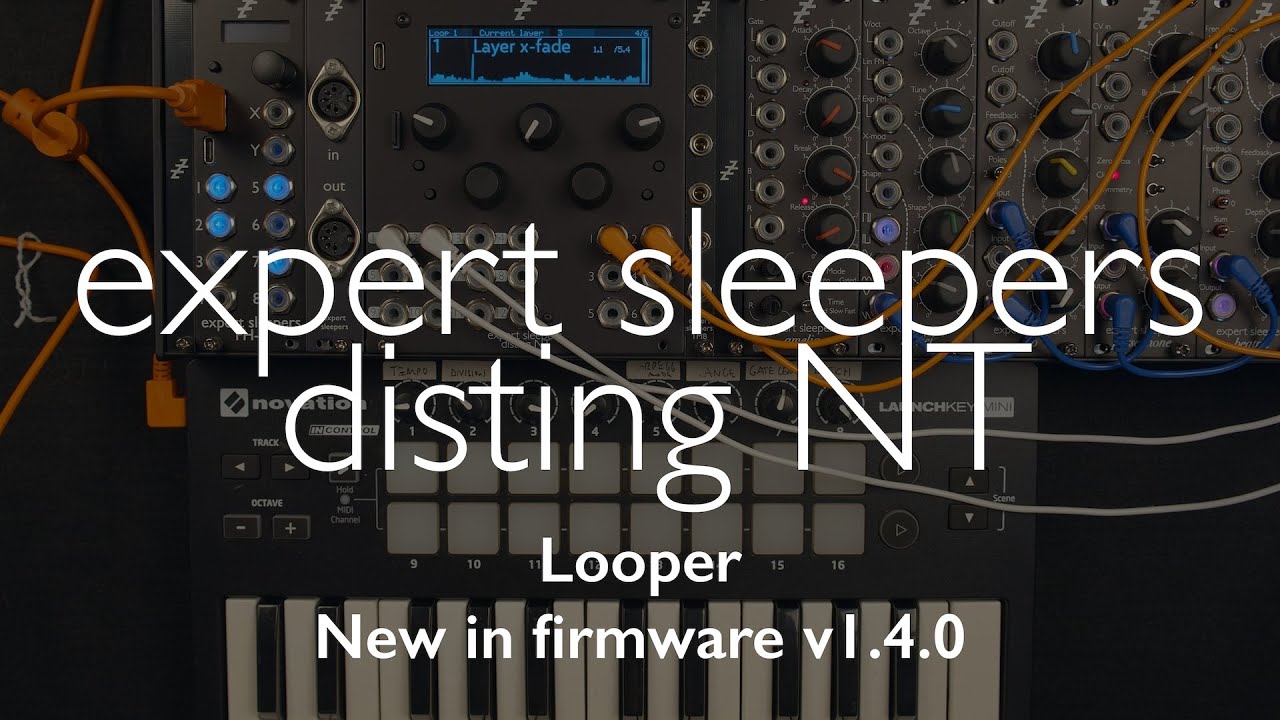 disting NT - Looper
