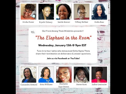"The Elephant in the Room" - 10 EX Deltas speak out!