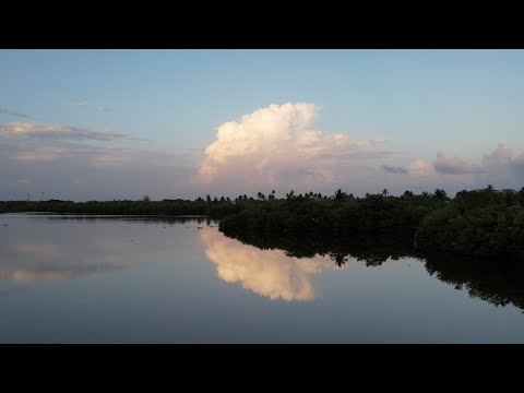 All around Little Cayman