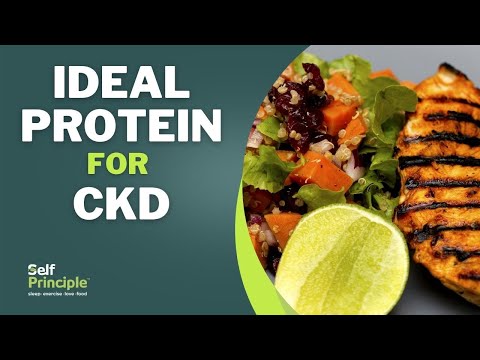 Best source of protein and how much for CKD