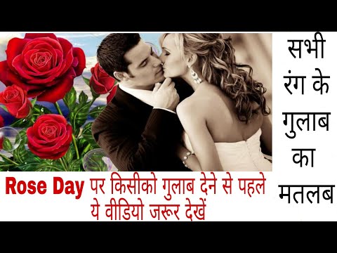 Different Roses Colour Meaning In Hindi || 07 February 2021 Rose Day