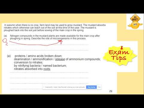 3.5.4.3 Leaching and eutrophication. AQA A level Biology